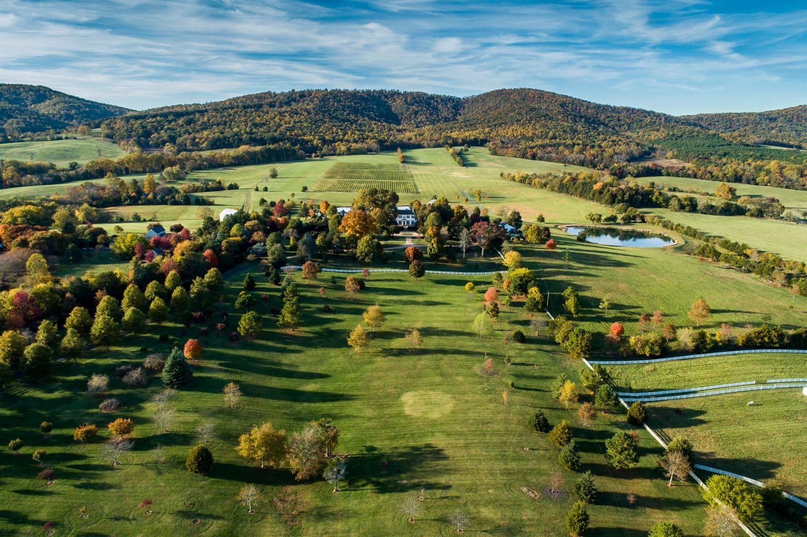 Charlottesville Insider's Guide to Wineries, Hotels, Events, Shops, and ...